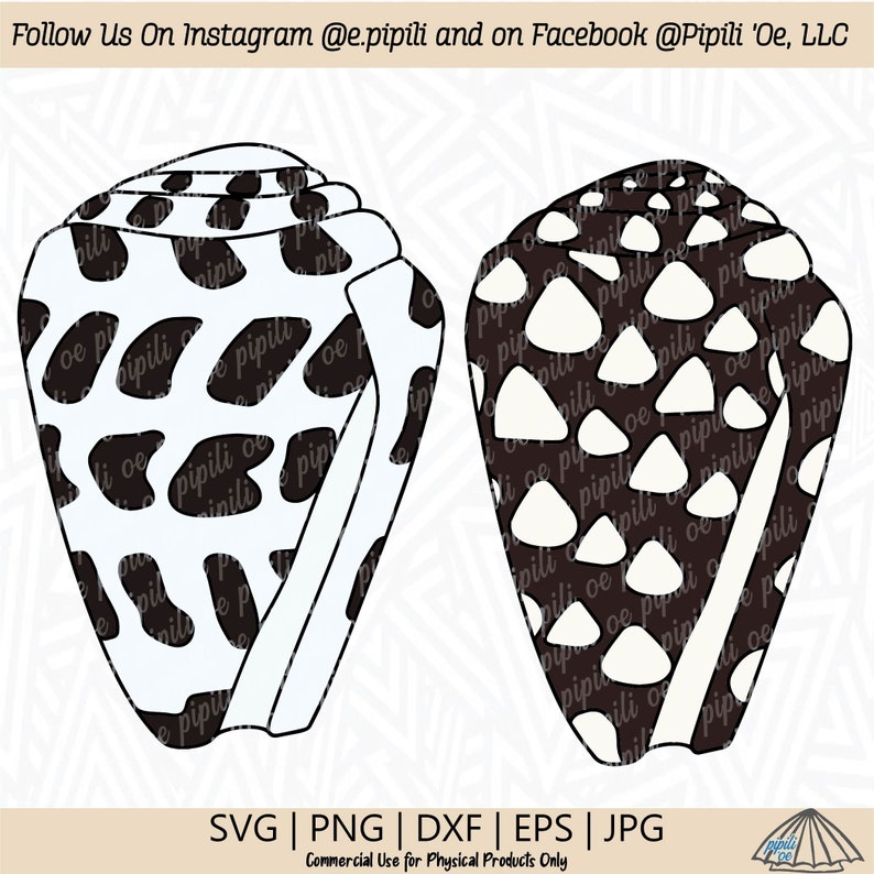 Hebrew Cone Shell SVG - Beach Shell SVG - Shell SVG - Digital Download ...