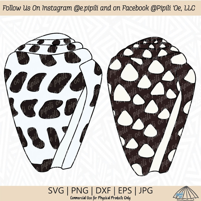 Hebrew Shell Clips - Etsy