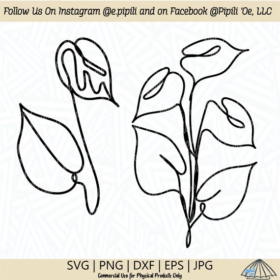 Anthurium 1 Line Drawing SVG Anthurium SVG Flower SVG | Etsy