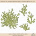 Limu - Seaweed SVG - Seaweed SVG - Limu Clip Art - Digital Download ...