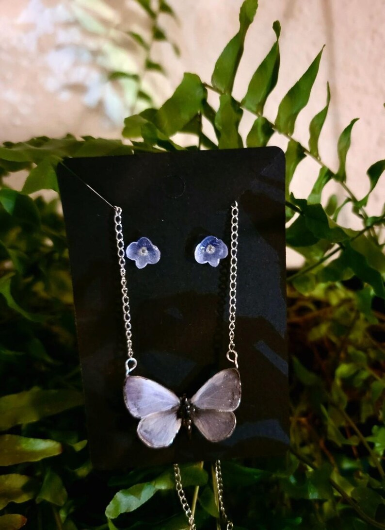Real Celestrina Butterfly Necklace - Etsy