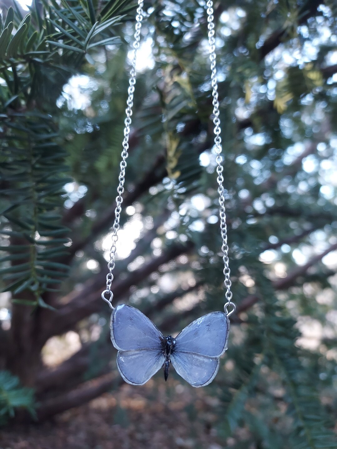 Real Celestrina Butterfly Necklace - Etsy