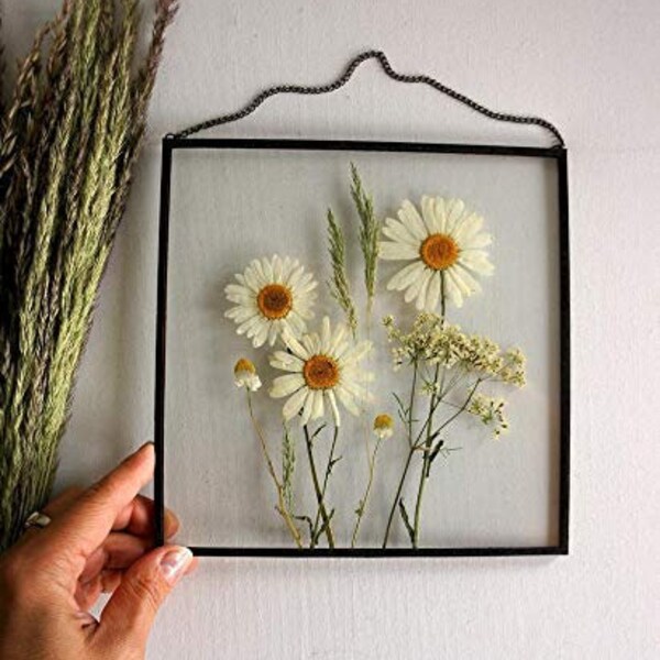 Glass Frames - Etsy