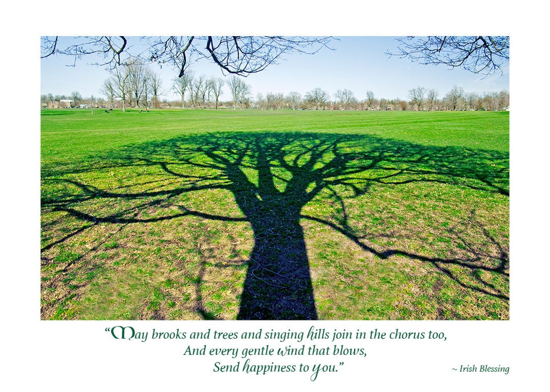 Tree of Life Irish Birthday Card, Irish Birthday Card, Irish Blessing ...