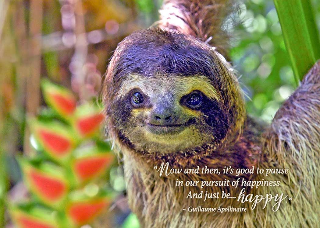 Smiling Sloth Birthday Card, Happy Sloth Card, Just Be Happy Birthday ...