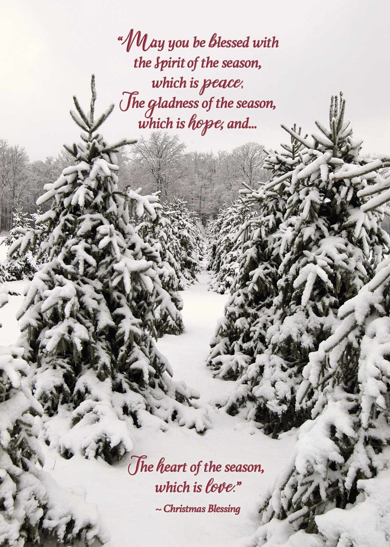 Christmas Trees Card, Winter Trees Card, Eco Friendly Holiday Card ...