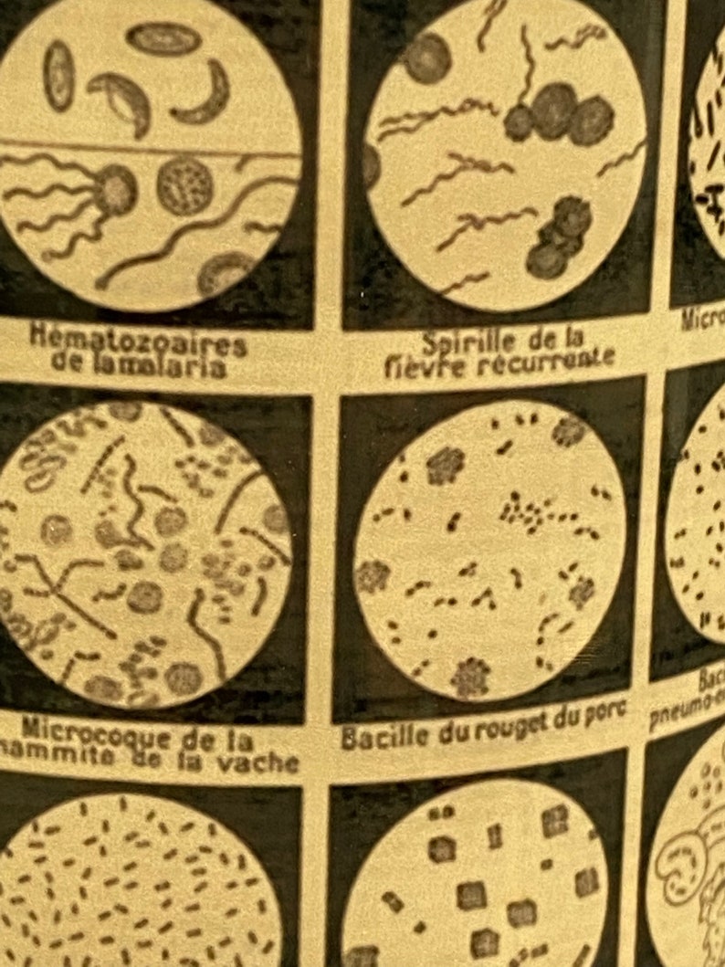 Infectious Disease Humor 20oz Skinny Tumbler Funny Gift - Etsy