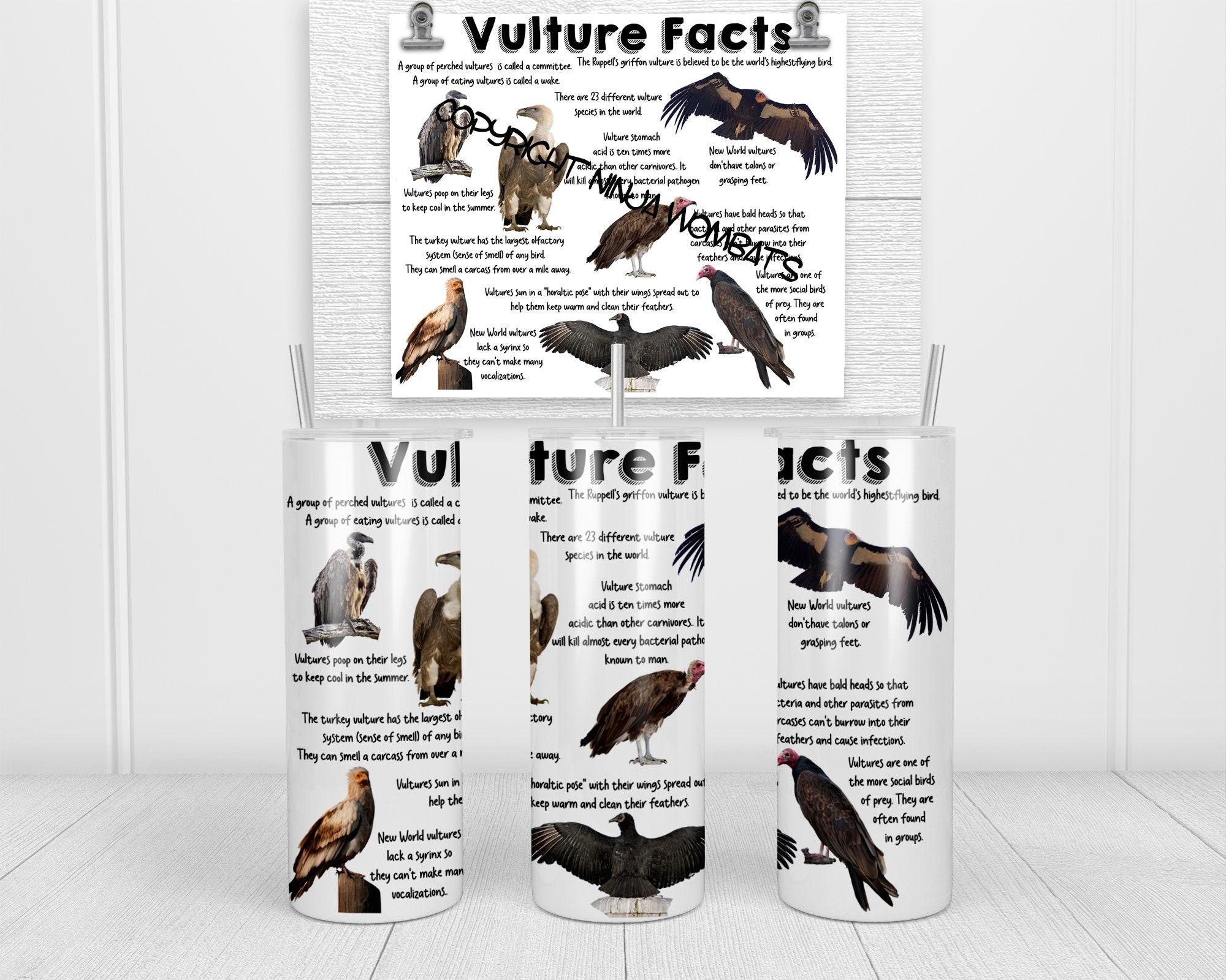Vulture Facts Tumbler, Cup 20oz Skinny Tumbler Gift for Wildlife Lover ...
