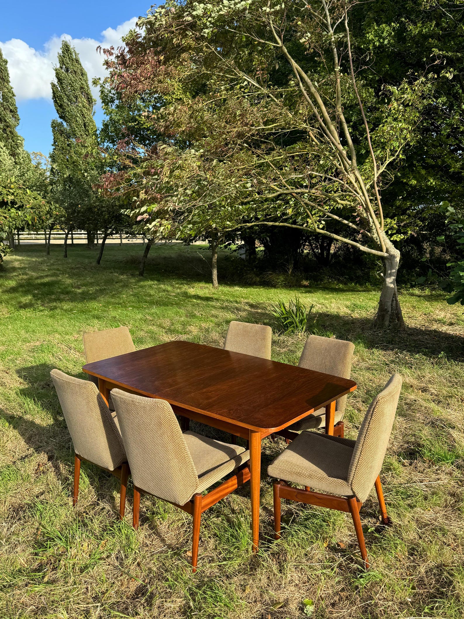 Vintage Mid Century Modern Dining Table and Chairs by Robert Heritage ...