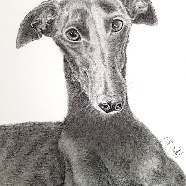 Graphite Portraits - Etsy