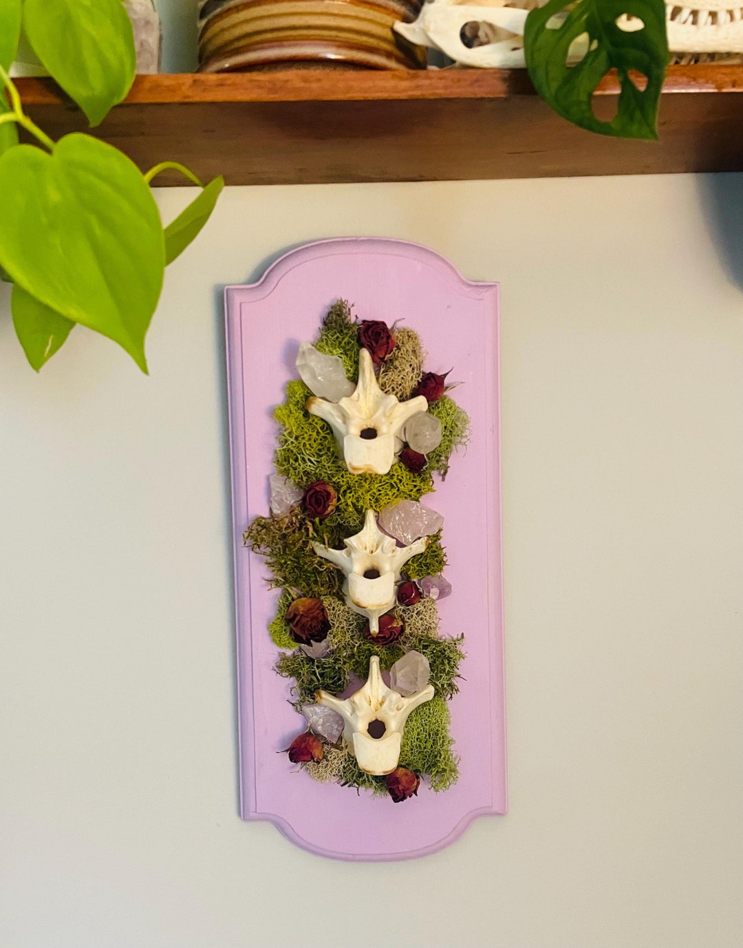 Decorative Oddity Bone and Floral Wall Plaque. Curiosities, Bone Art ...