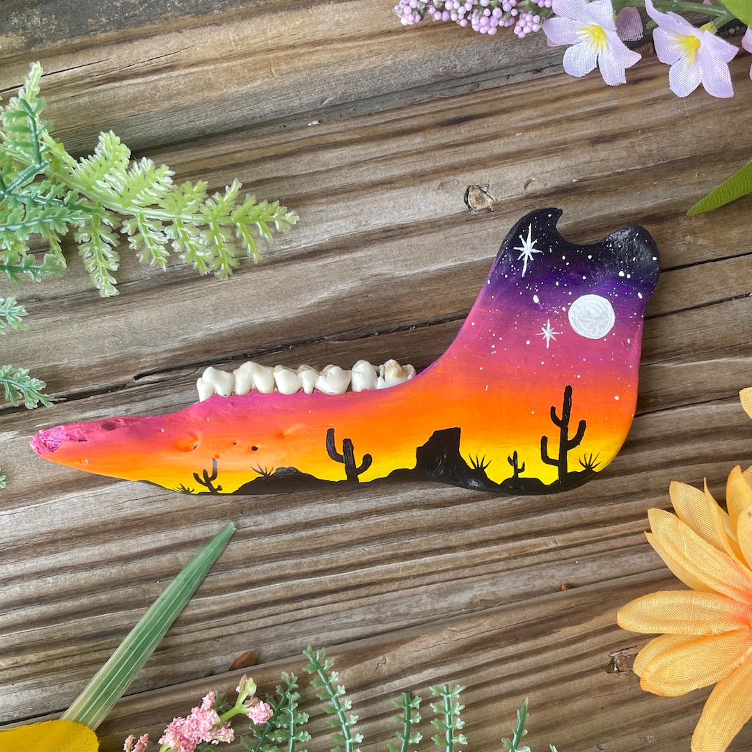 Desert Sunset Painted Jaw Bone. Desert Scape, Cactus Art, Oddities ...