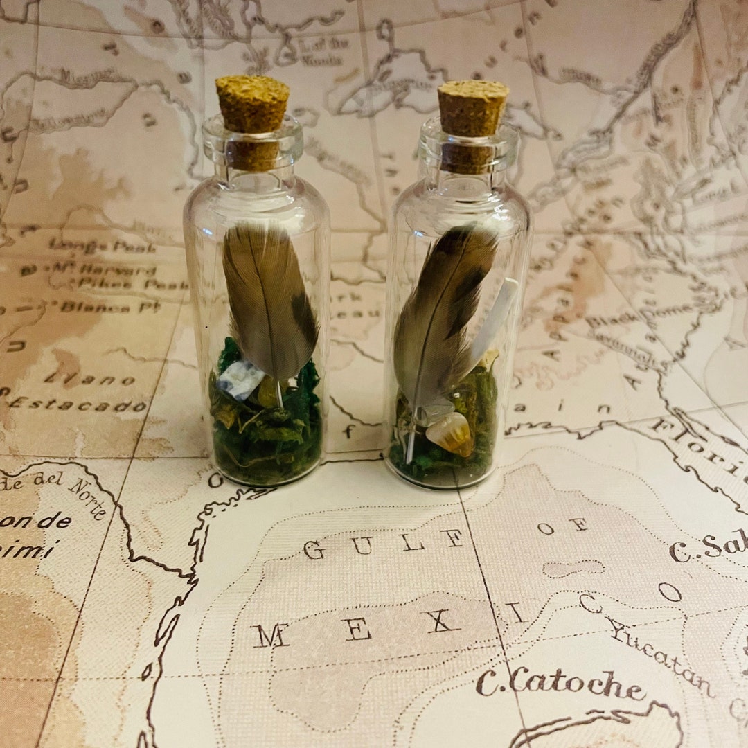 Curiosity Jars (small), Oddities, Animal Bones, Crystals, Stones ...