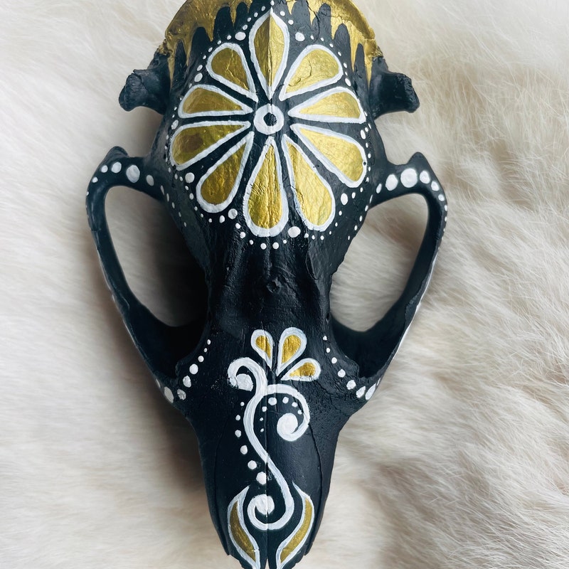 Painted Animal Skull - Etsy