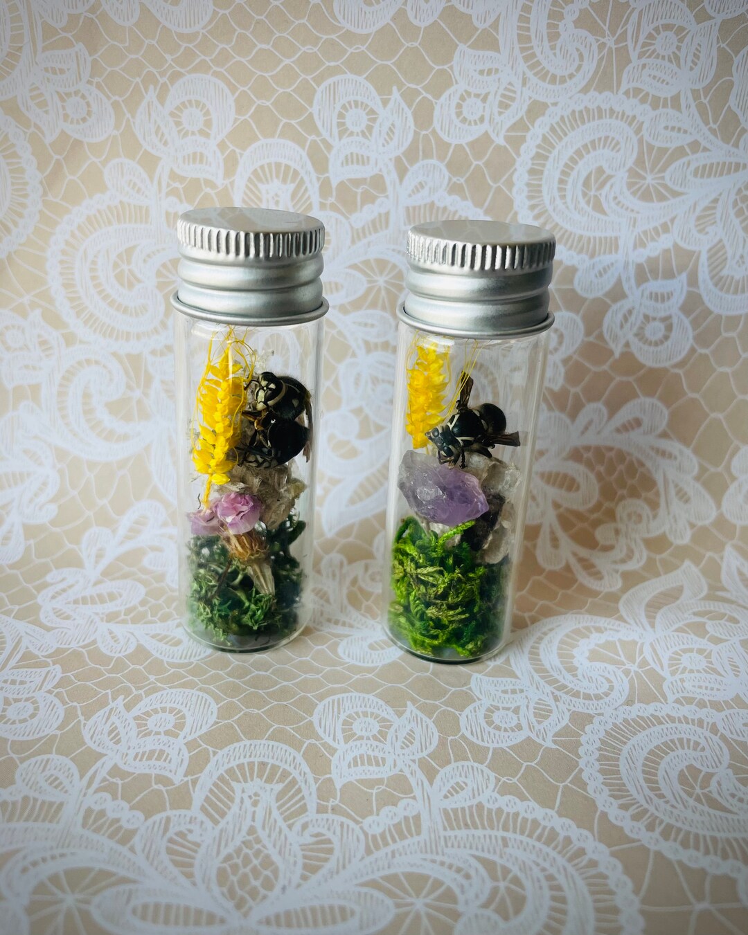 Hornet Display Jars W/ Wasp Nest, Dried Flowers, Moss & Small Crystals ...