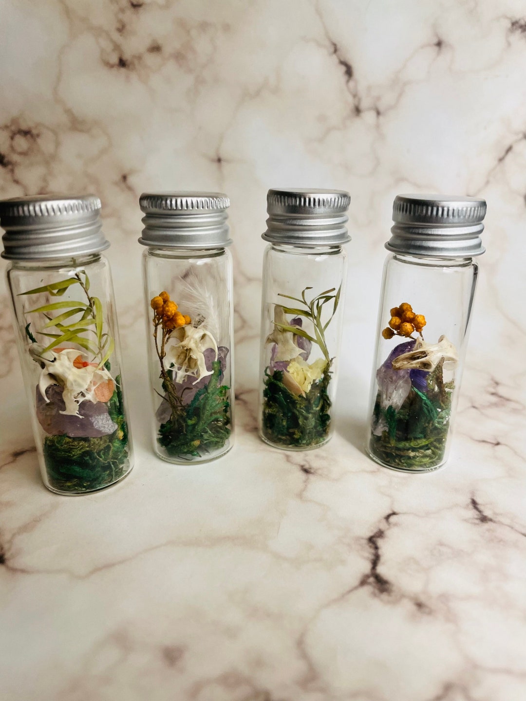 Mouse Skull Curiosity Jars With Real Dried Flowers, Moss & Amethyst ...