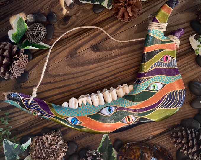 Trippy Eyes, Wall Hanging Painted Bone, Multicolored, Cow's Jaw, Home ...