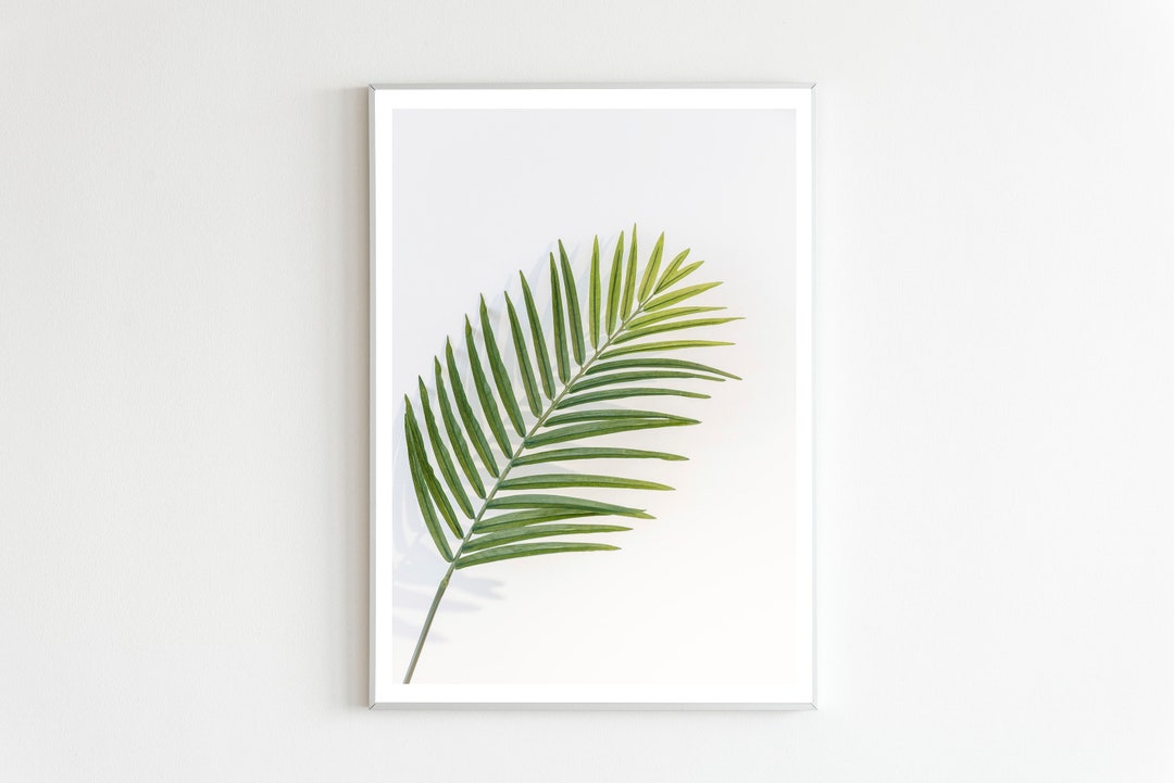 Palm Leaf Print, Palm Frond, Plant Art, Plant Print, Plant Poster ...