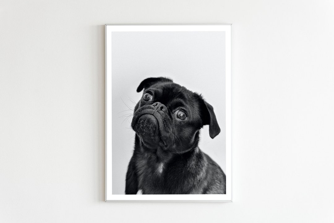 Pug Wall Art, Pug Print, Pug Picture Pug Poster, Dog Art, Dog Print ...