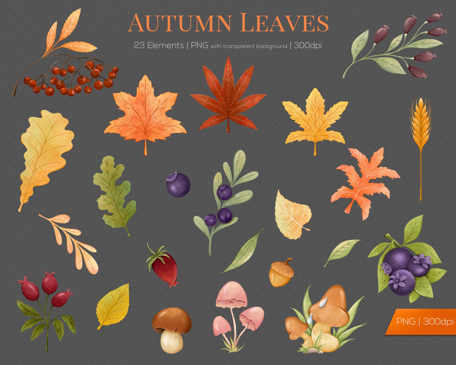 Autumn Leaves Clipart Fall Leaves Clipart Autumn Clipart - Etsy