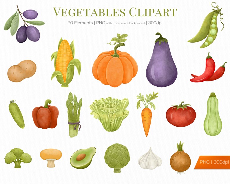 Vegetable Clipart Food Clipart Png Healthy Food Clip Art - Etsy