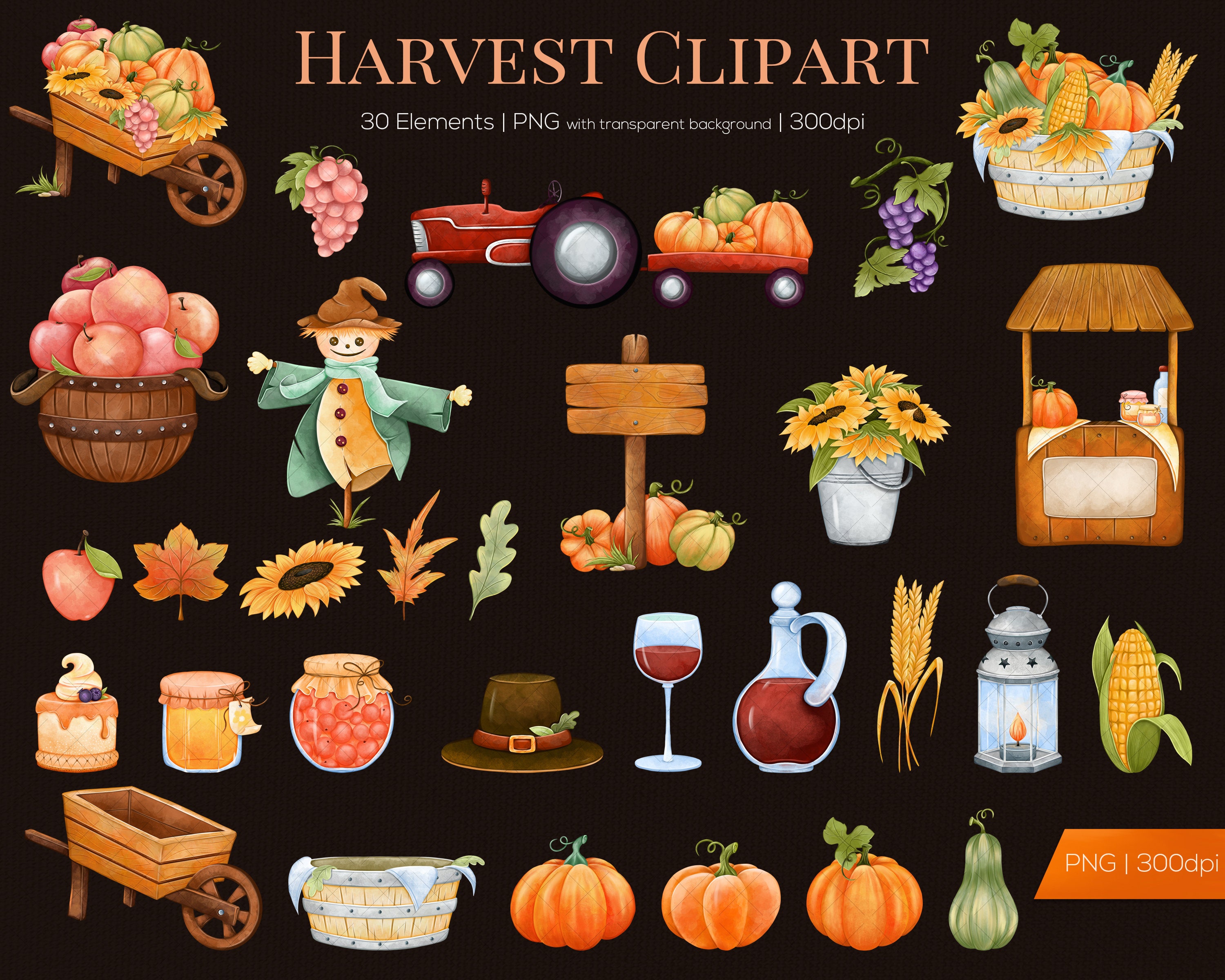 Fall Clipart Harvest Clipart Thanksgiving Clipart Png - Etsy