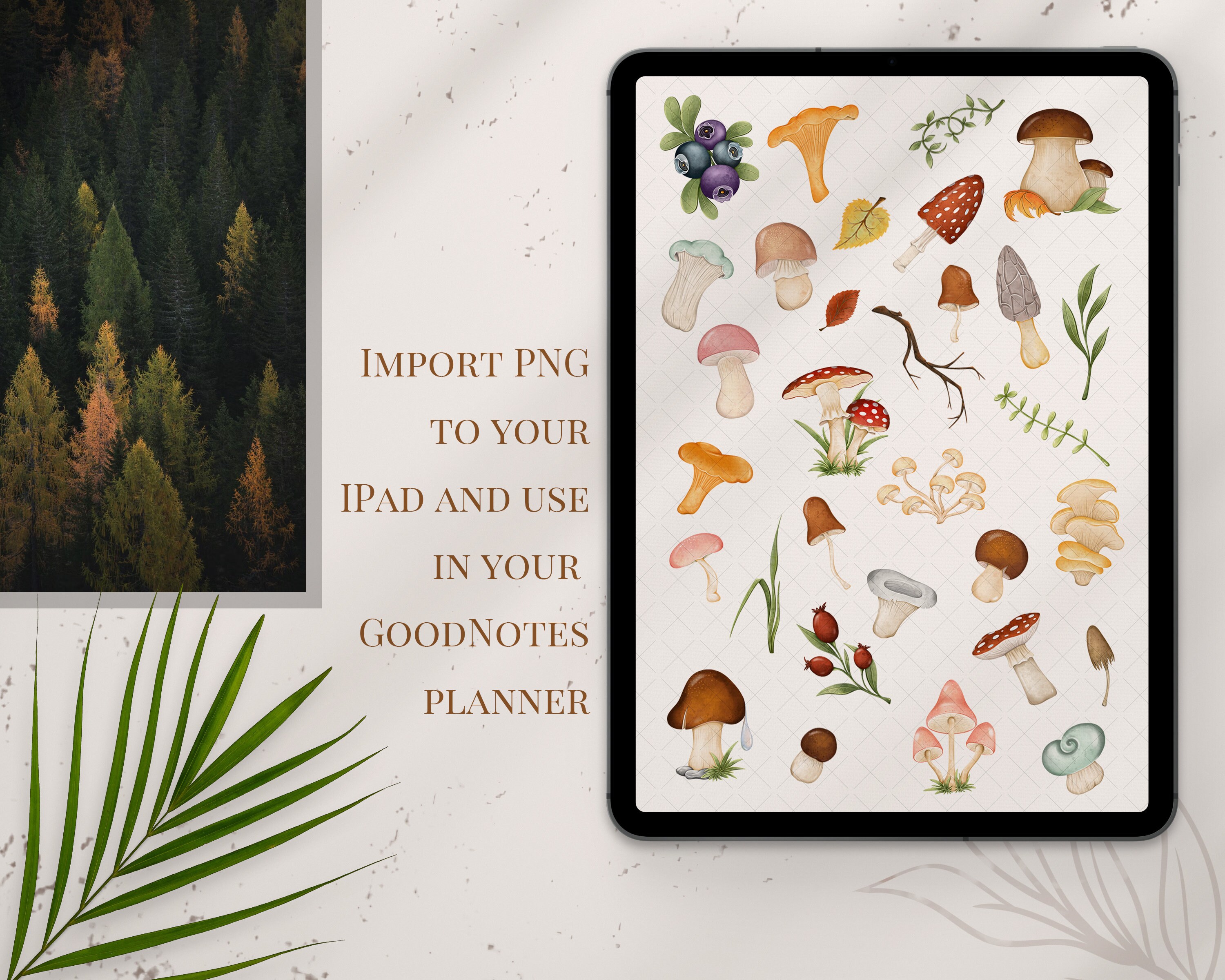 Mushroom Clipart Watercolor Fall Clipart Autumn Clipart - Etsy