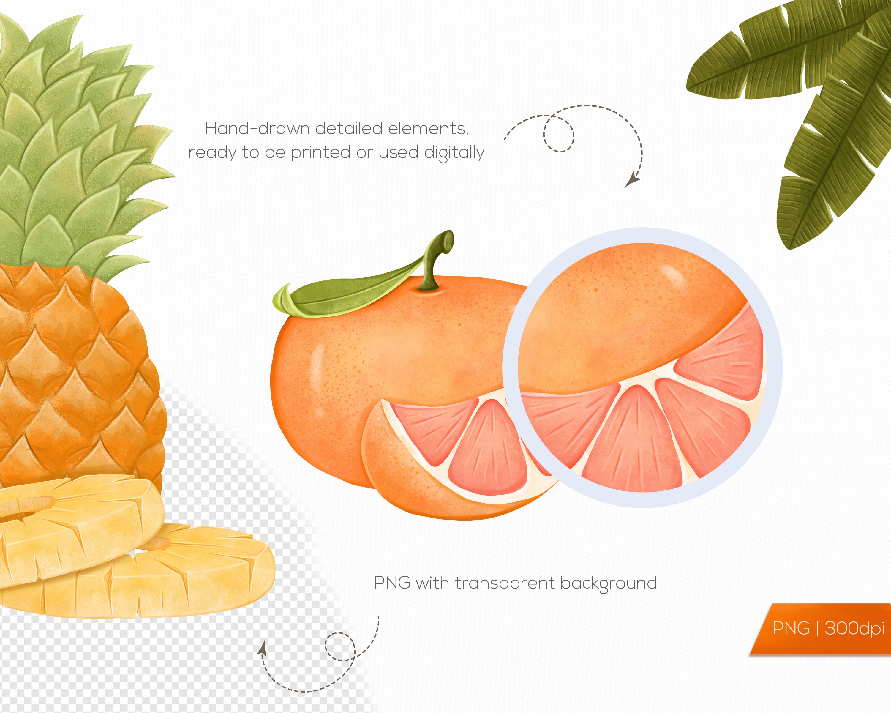 Exotic fruit clipart bundle Fruit clipart bundle Tropical | Etsy