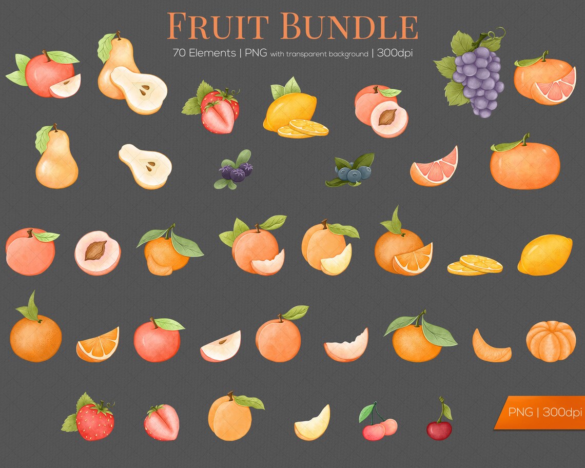 Exotic fruit clipart bundle Fruit clipart bundle Tropical | Etsy
