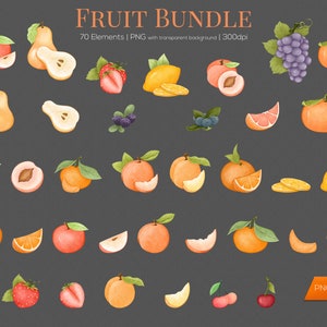 Exotic Fruit Clipart Bundle | Fruit Clipart Bundle | Tropical Clipart ...