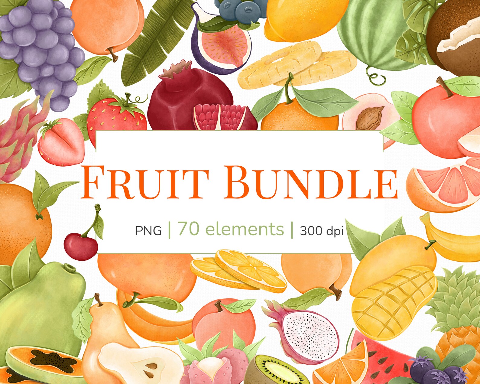 Exotic fruit clipart bundle Fruit clipart bundle Tropical | Etsy