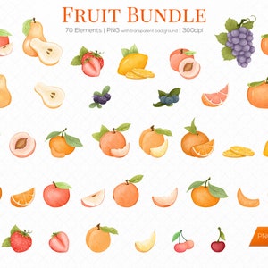 Exotic Fruit Clipart Bundle | Fruit Clipart Bundle | Tropical Clipart ...
