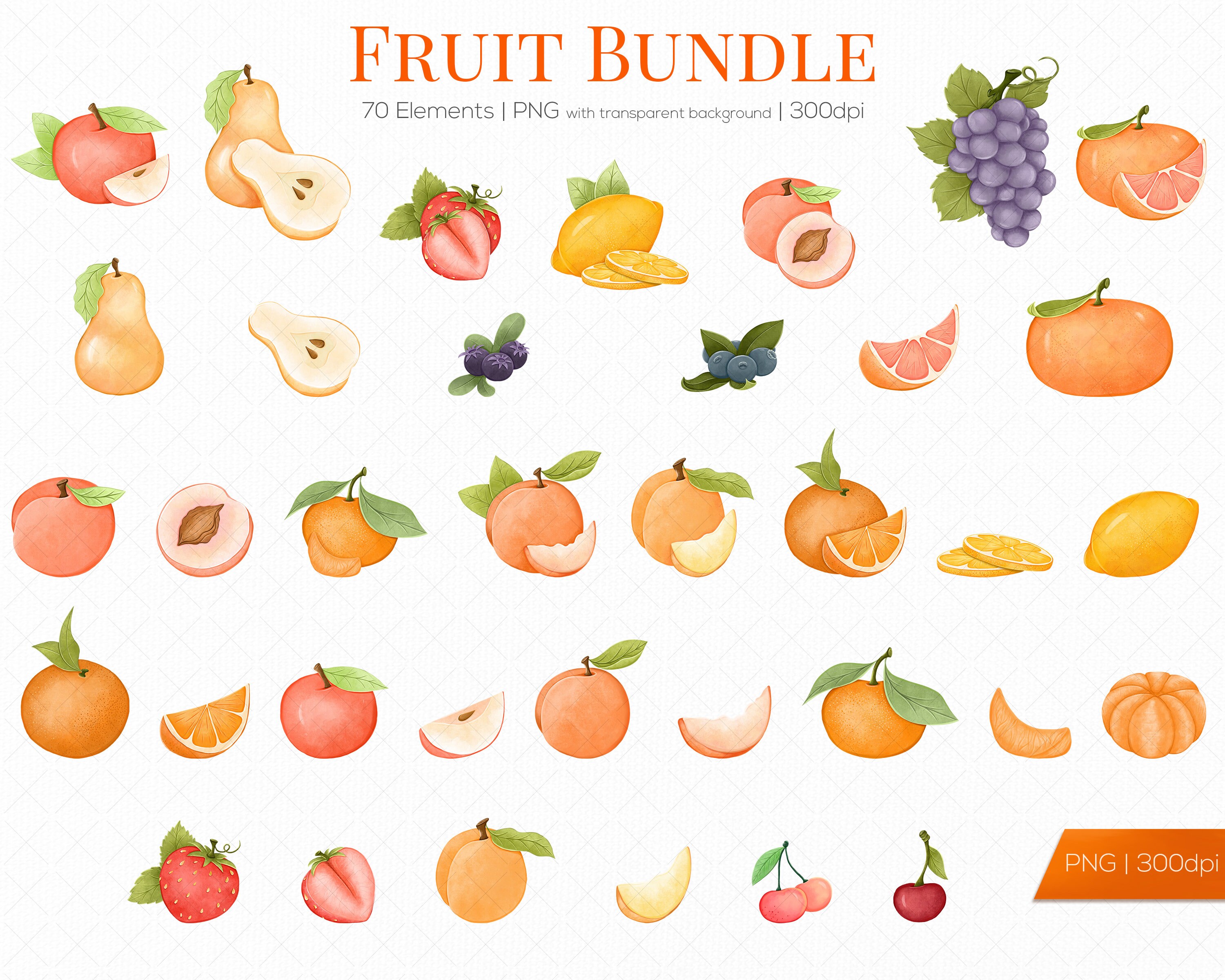 Exotic fruit clipart bundle Fruit clipart bundle Tropical | Etsy