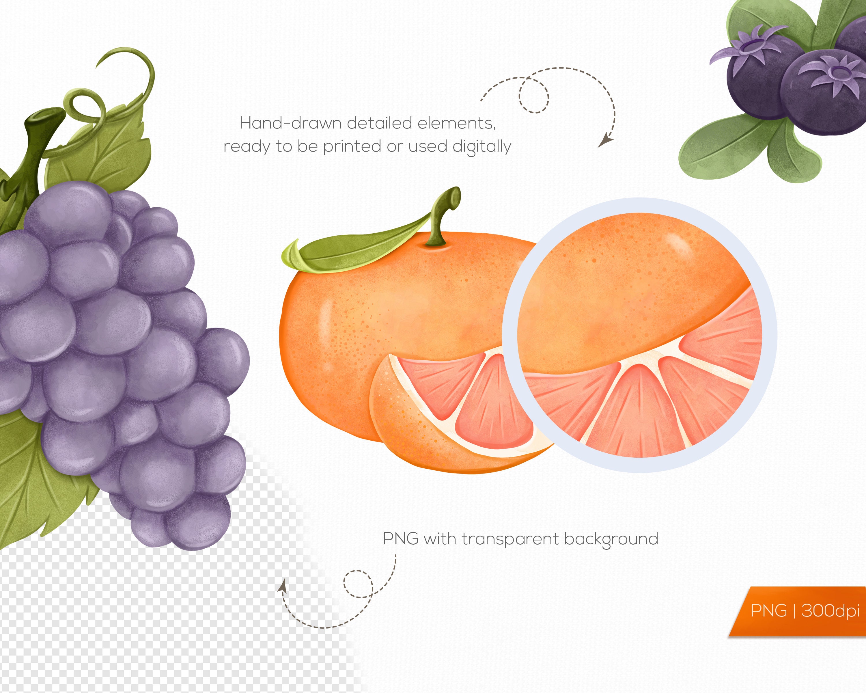 Fruit clipart bundle Summer clipart Healthy food clip art | Etsy