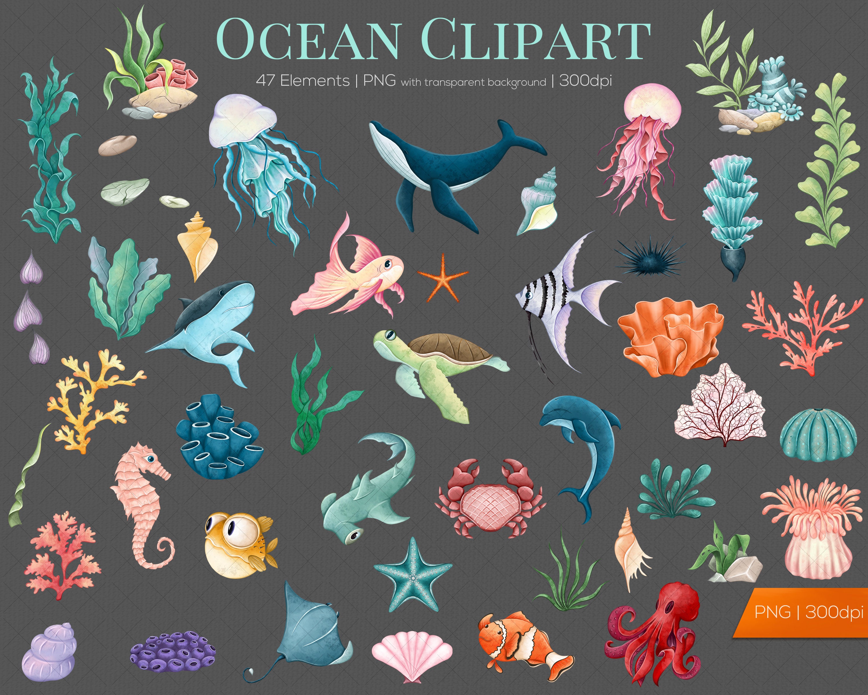 Ocean Clipart Underwater Clipart Sea Animals Png Clipart - Etsy