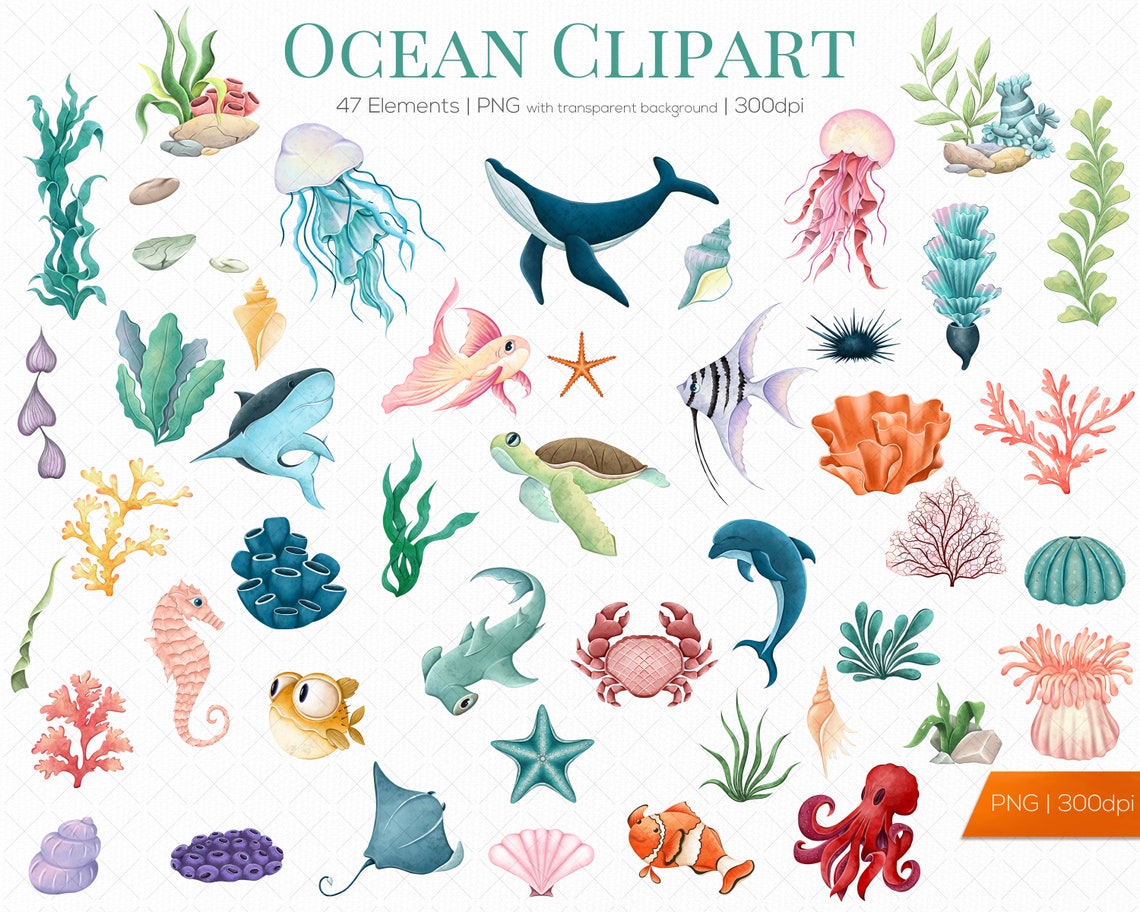 Ocean Clipart Underwater Clipart Sea Animals Png Clipart | Etsy