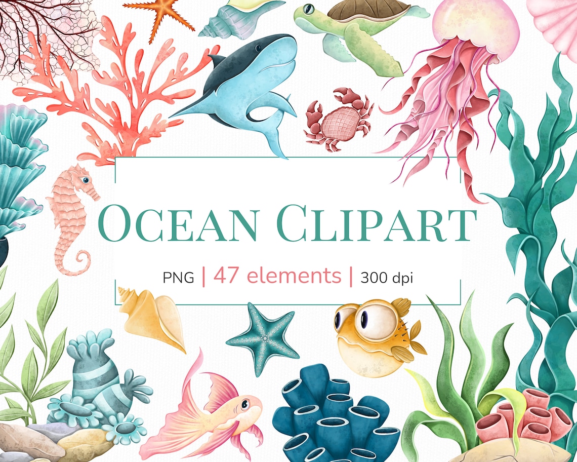 Ocean Clipart Underwater Clipart Sea Animals Png Clipart | Etsy