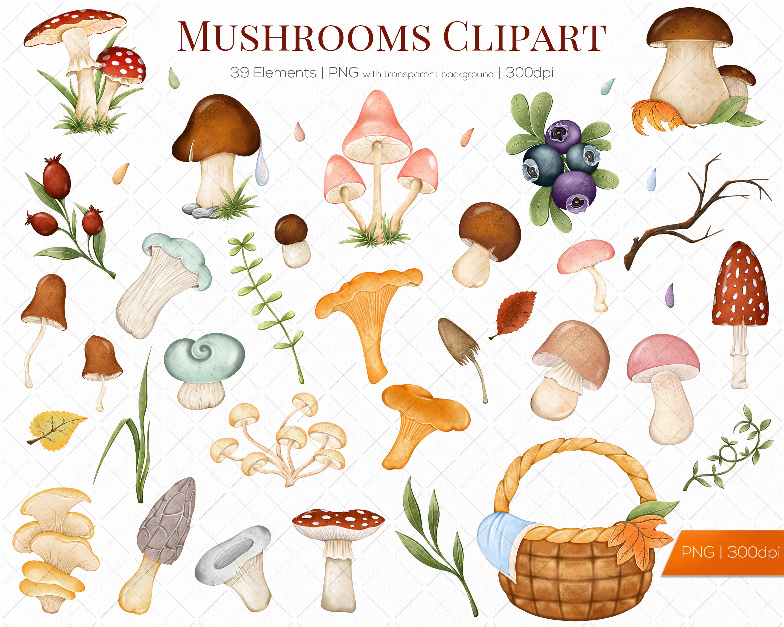 Mushroom Clipart Watercolor Fall Clipart Autumn Clipart - Etsy