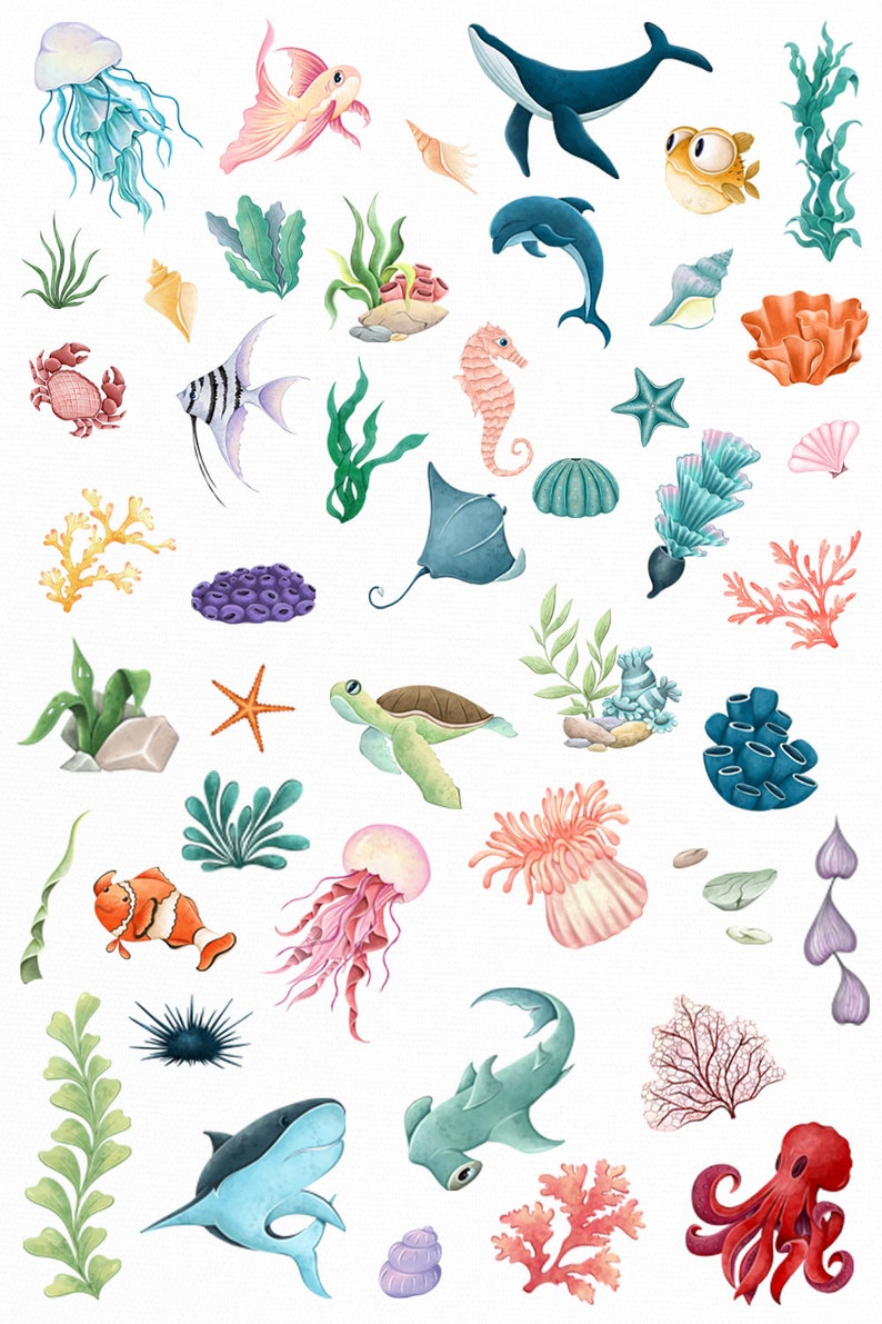 Ocean Clipart Underwater Clipart Sea Animals Png Clipart - Etsy