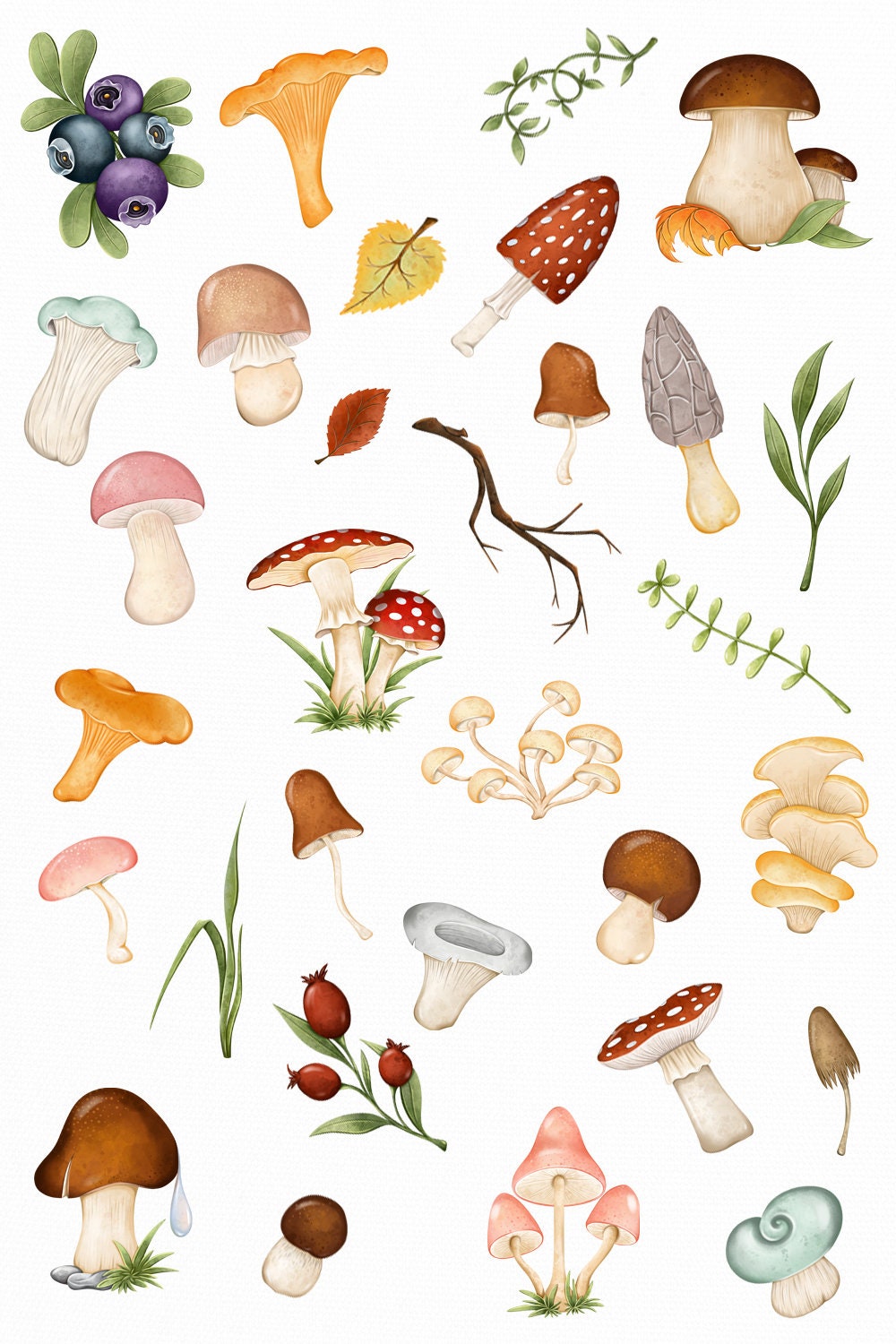 Mushroom Clipart Watercolor Fall Clipart Autumn Clipart - Etsy
