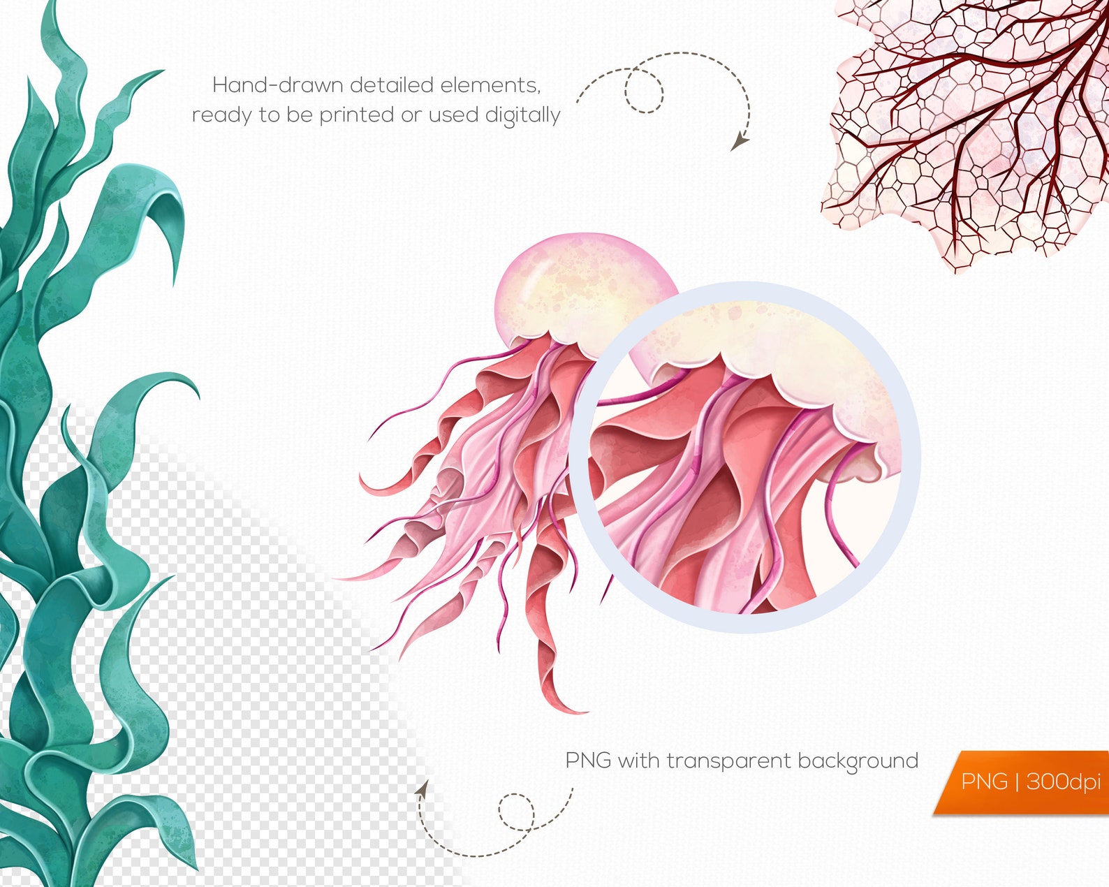 Ocean Clipart Underwater Clipart Sea Animals Png Clipart | Etsy