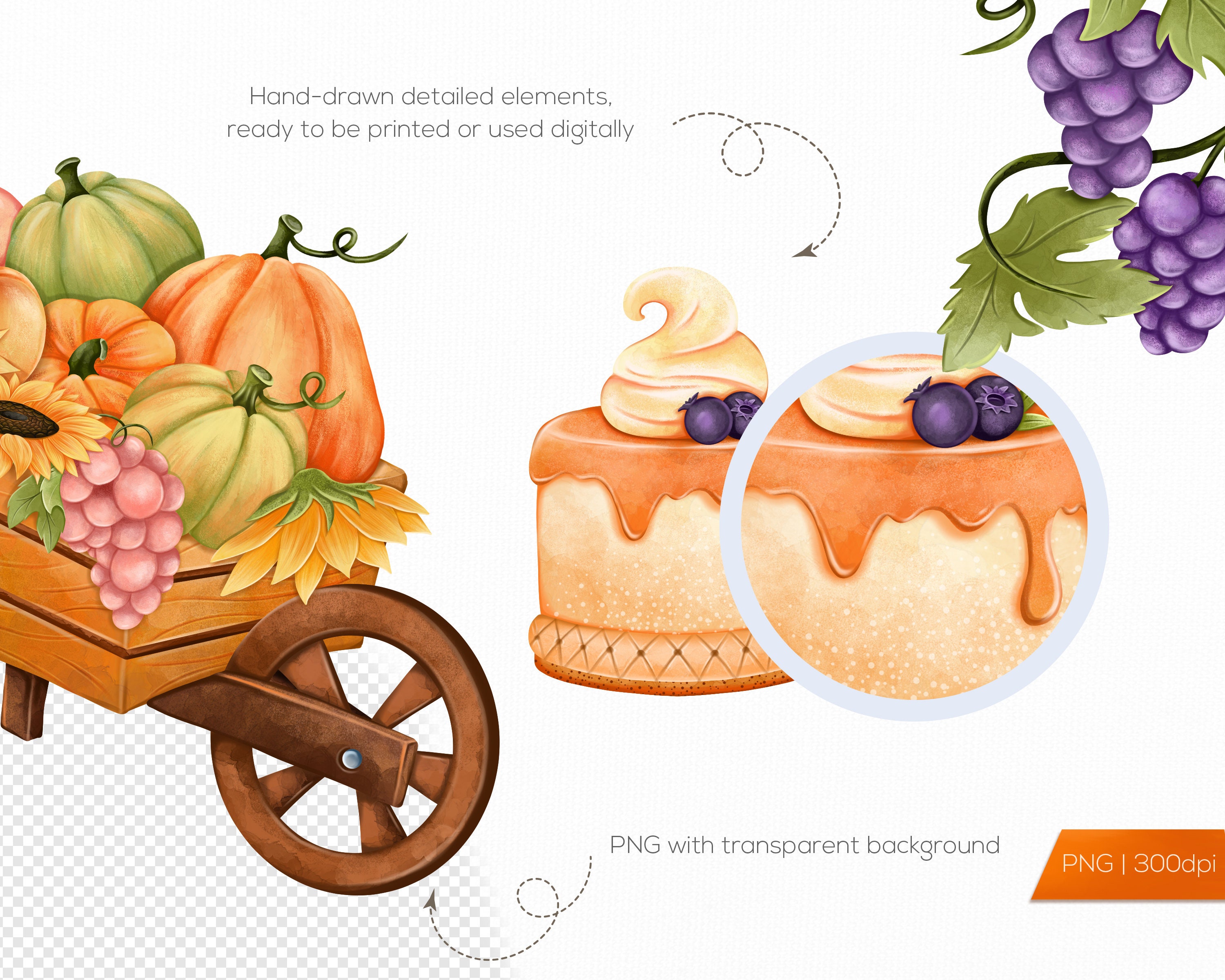 Fall Clipart Harvest Clipart Thanksgiving Clipart Png - Etsy