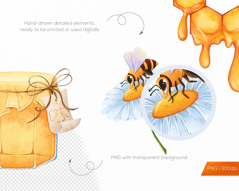 Bees and Honey Png Clipart Watercolor Honey Clipart Honey - Etsy