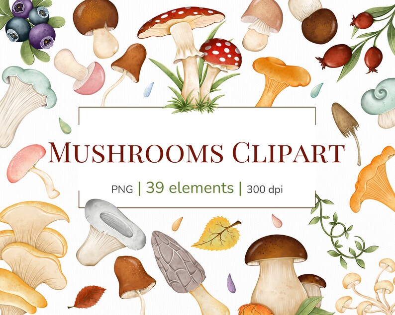 Mushroom Clipart Watercolor Fall Clipart Autumn Clipart - Etsy