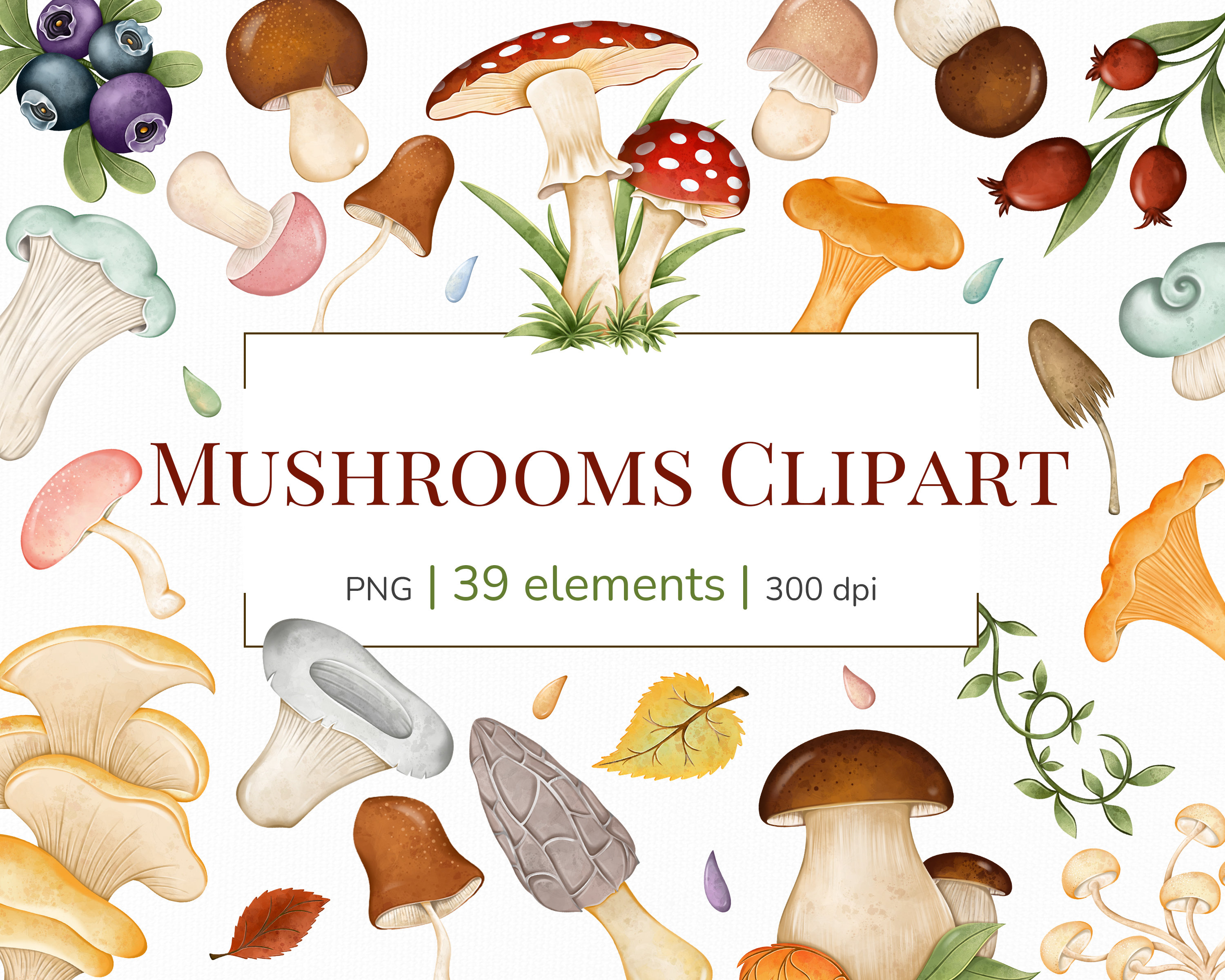 Mushroom Clipart Watercolor Fall Clipart Autumn Clipart - Etsy