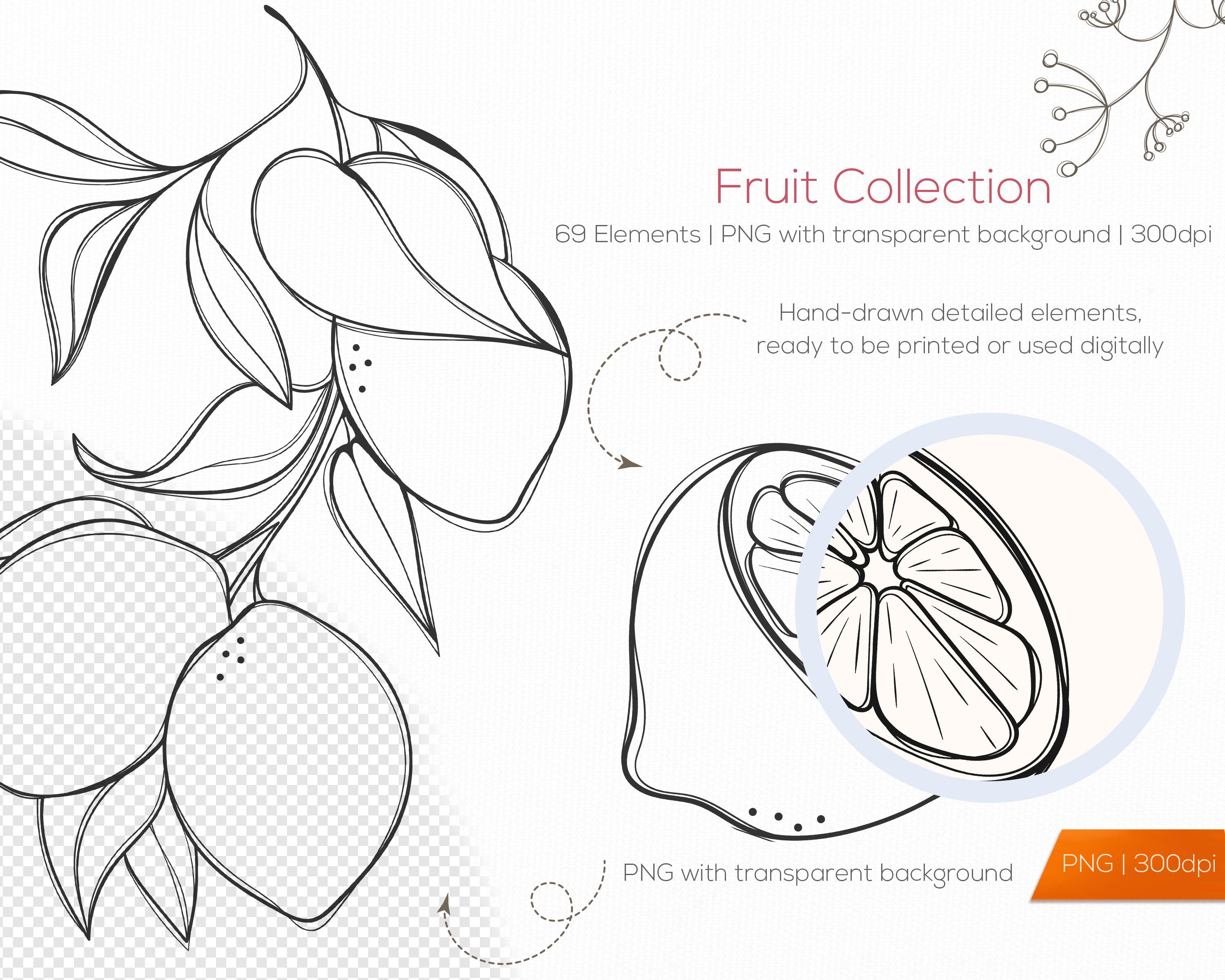 Fruit Clipart Black and White. Fruits Digital Clipart. Fruit - Etsy