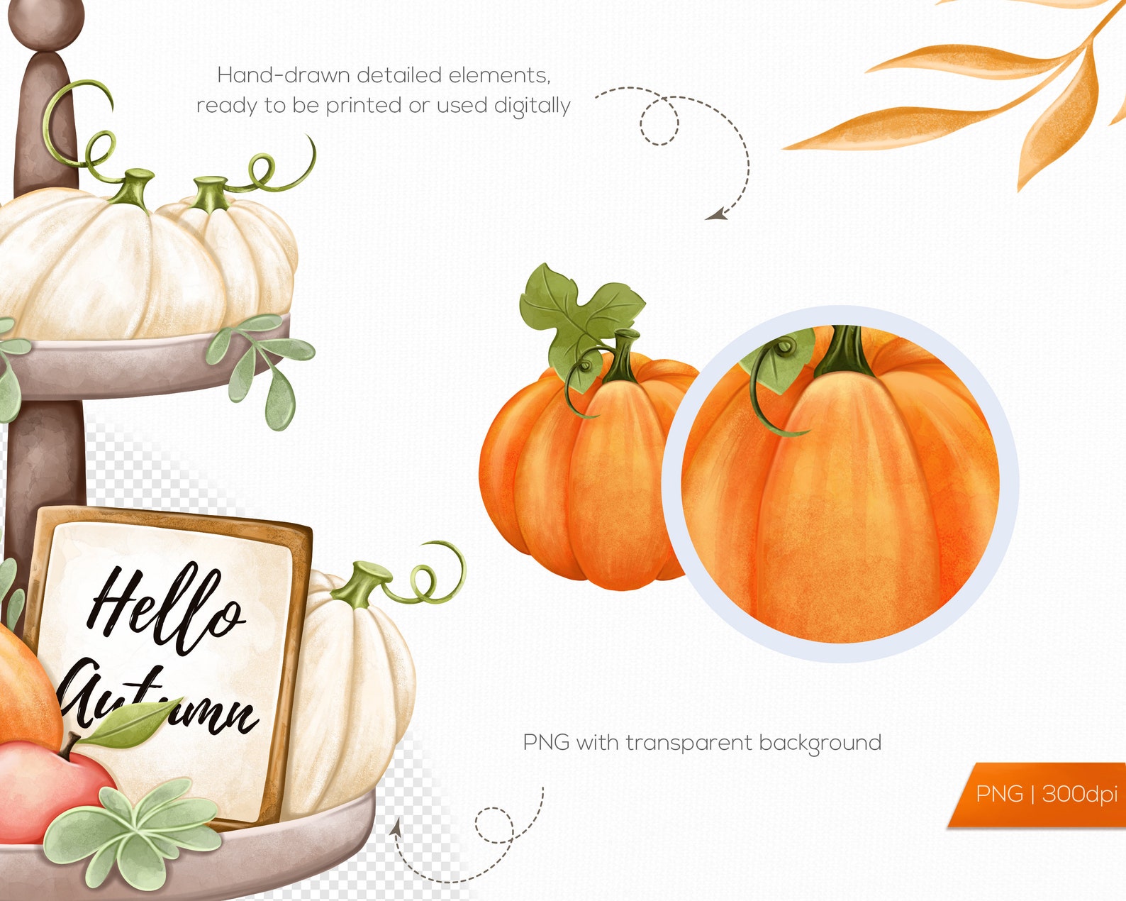 Pumpkin Clipart Fall Clipart Thanksgiving Day Clipart - Etsy