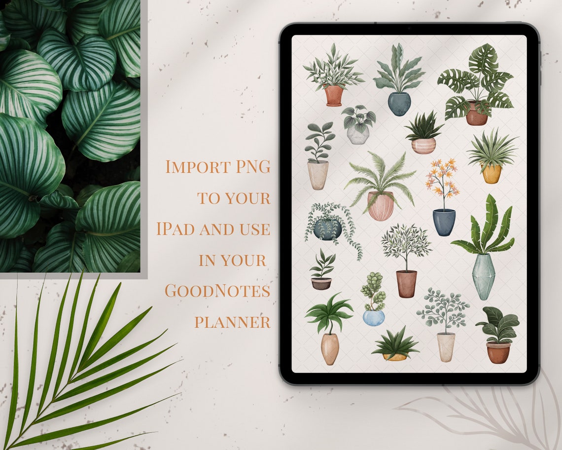 Potted Plants Clipart Flower Pot Clipart Rustic Garden | Etsy