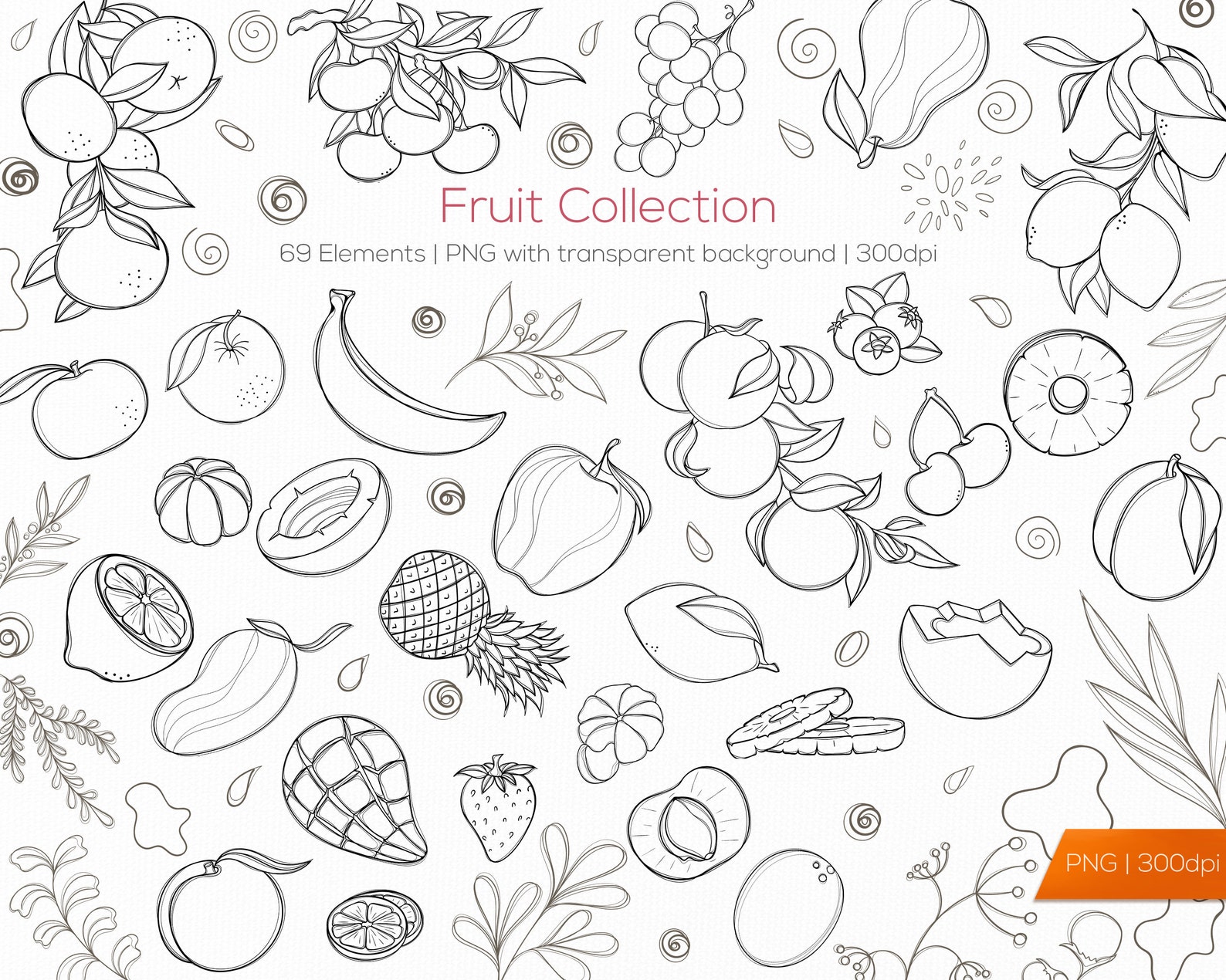 Fruit Clipart Black and White. Fruits Digital Clipart. Fruit - Etsy