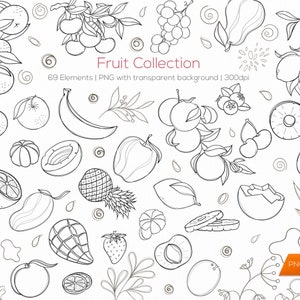 Fruit Clipart Black and White. Fruits Digital Clipart. Fruit Clip Art ...
